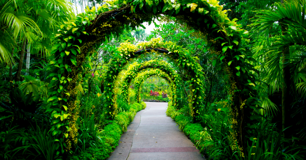 5 Best Botanical Gardens in Los Angeles: A Guide to Nature's Tranquil ...