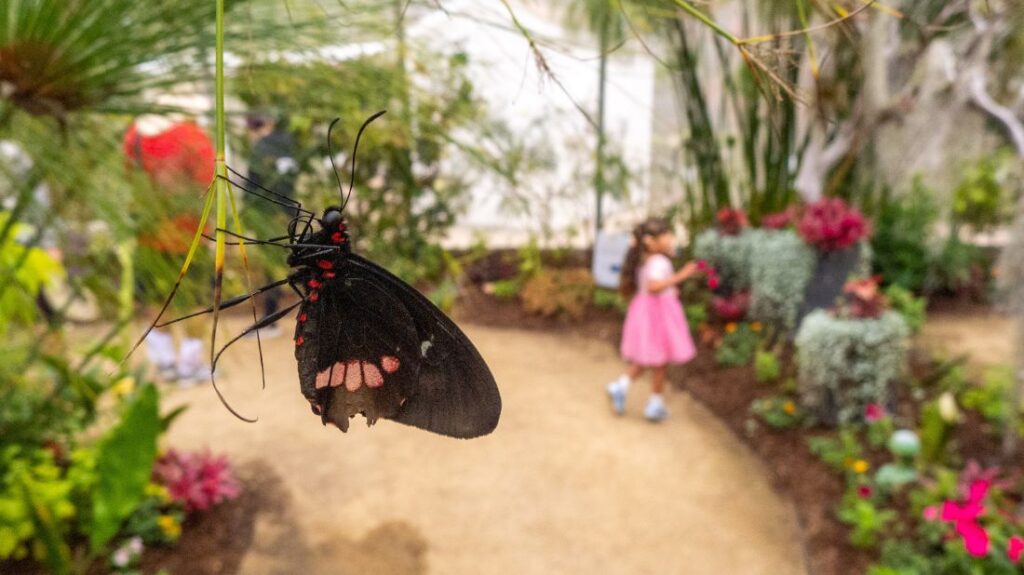 5 Best Botanical Gardens in Los Angeles: A Guide to Nature's Tranquil ...